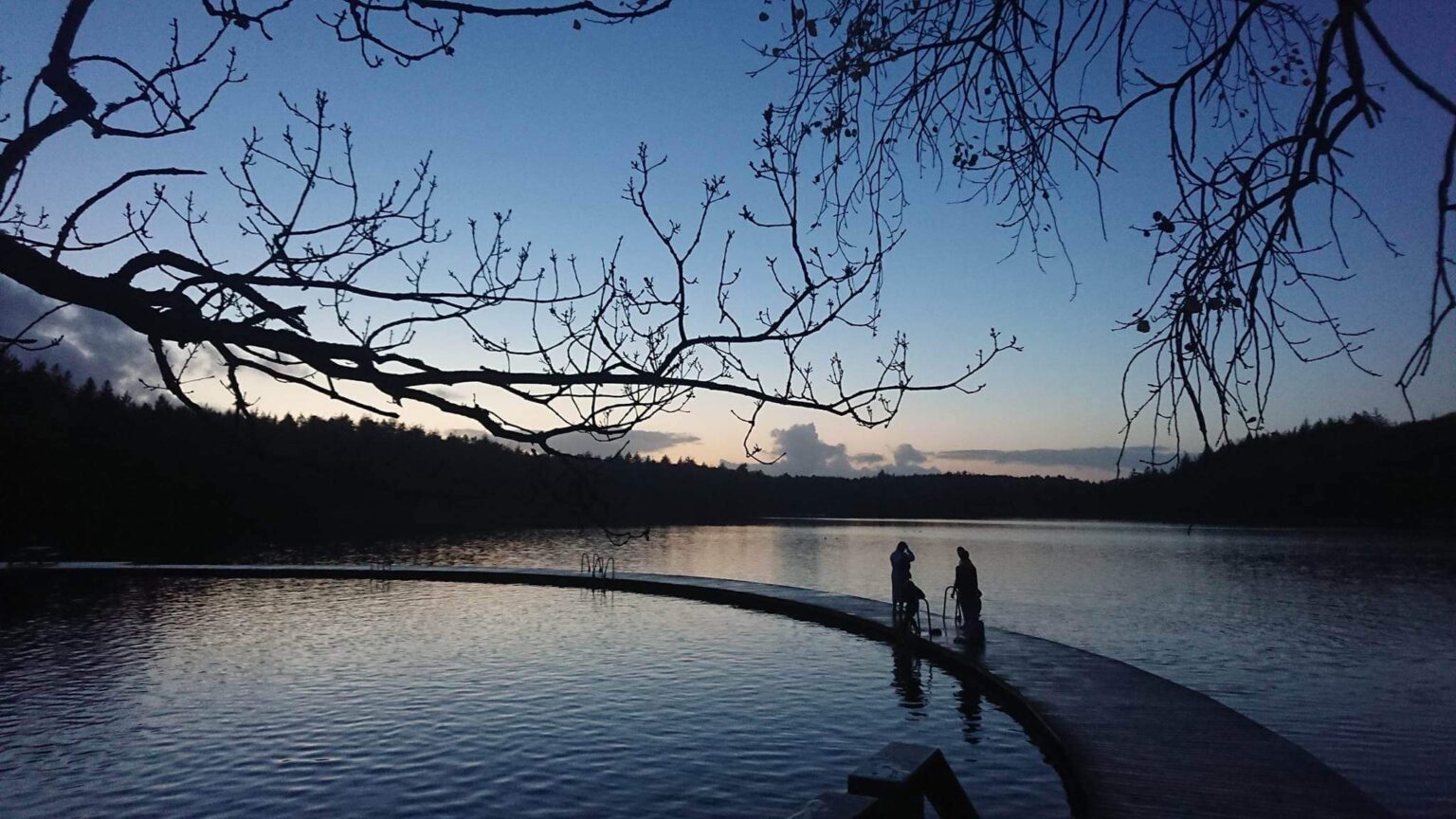 Gæstebillet – almind-wellet